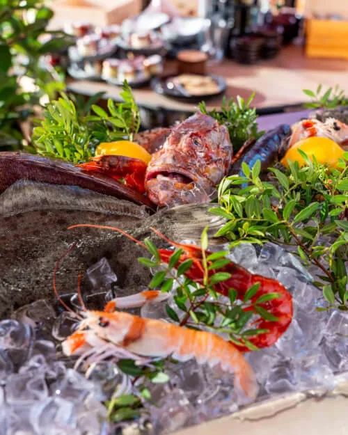 Experience Mediterranean Delights at Cone Club 🌅🍷 - Food